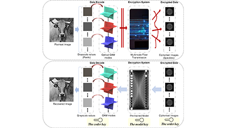 Ultra-security optical image encryption using speckles through a multi ...