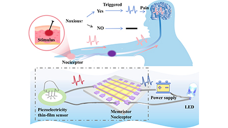 Artificial mechano-nociceptive system based on transparent ITO/AlN/ITO ...