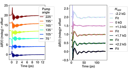 Time-resolved magneto-optical effects in the altermagnet candidate MnTe ...