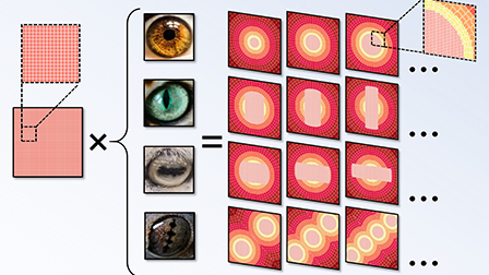 Adaptive aperture pupil-inspired foveated single-pixel imaging for ...