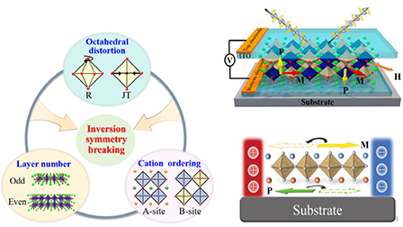 Perspective on 2D perovskite ferroelectrics and multiferroics | Applied Physics Letters | AIP ...