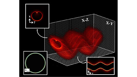 Tailoring nondiffracting structured lights along arbitrary three ...