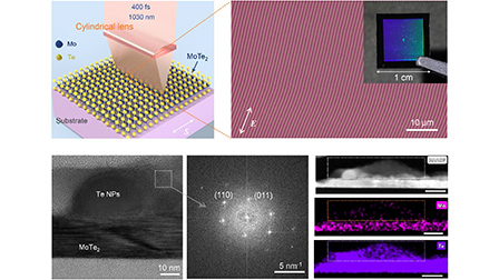 Self-assembly of MoTe2 nanostructures and nanocomposites over ...