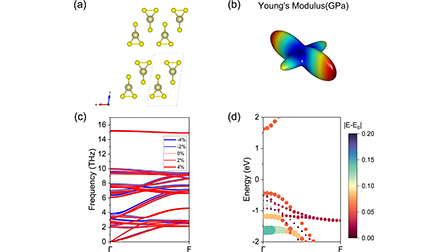 Strain effect of phonon and electron in 1D crystals HfS3 and ZrS3 ...
