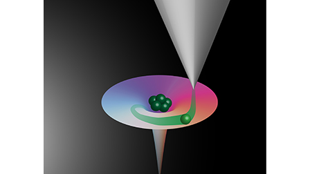 Direct visualization of quasiparticle concentration around superconducting vortices | Applied ...