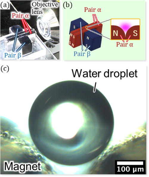Diamagnetic levitation of water realized with a simple device ...