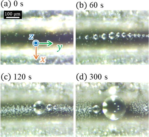 Diamagnetic levitation of water realized with a simple device ...