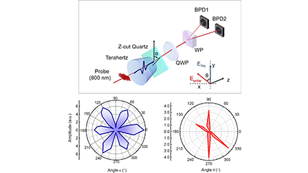 Strong terahertz pulse induced Pockels and Kerr effect in crystalline ...