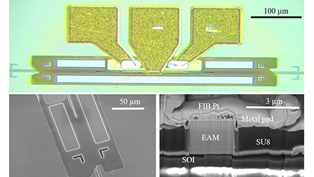 Micro-transfer printed high-speed InP-based electro-absorption ...
