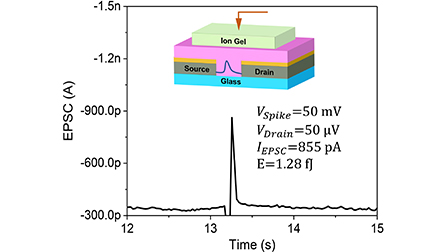 Organic synaptic transistor showing ultralow energy consumption with a ...