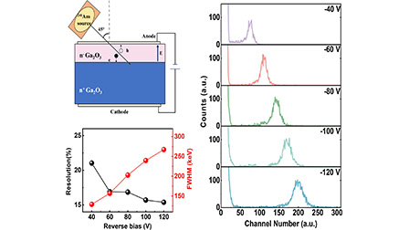 Alpha particle detection based on low leakage and high-barrier vertical ...