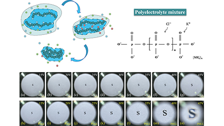 Polyelectrolyte mixture enables electrowetting liquid lens with large ...