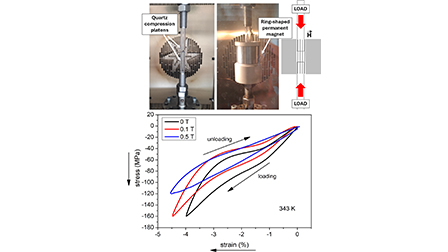 Magneto-mechanical coupling in ferromagnetic shape memory alloys ...