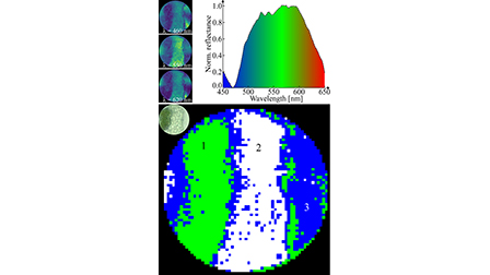Single-pixel-based hyperspectral microscopy | Applied Physics Letters | AIP Publishing