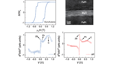 Magnon excitation-induced spin memory loss in epitaxial L10-FePt/MgO ...