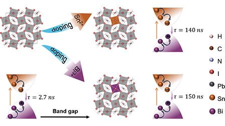Heteroatomic doping induces charge rearrangement to optimize carrier ...