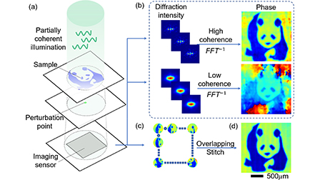 Overlap-scanning self-referencing diffractive imaging with enlarged ...