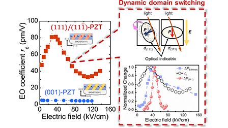 Dynamic domain motion enhancing electro-optic performance in ...