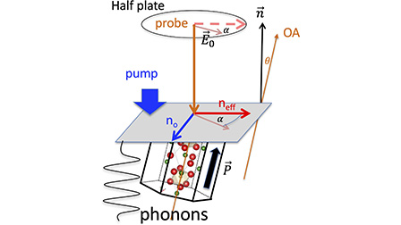 In situ determination of the optical axis orientation in a single grain using time-domain ...