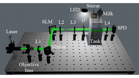 Ghost imaging through complex scattering media with random light ...