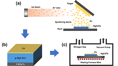 Study of Au doping processing for high quality extrinsic doped n on p ...