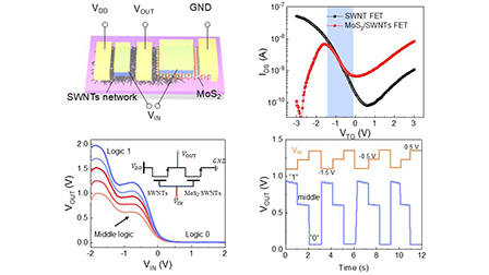 Multifunctional complementary field-effect transistors based on MoS2 ...