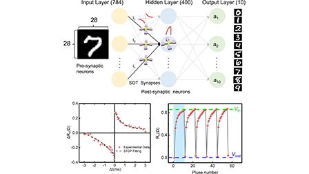 Design of spike-timing-dependent plasticity synapses based on CoPt-SOT ...