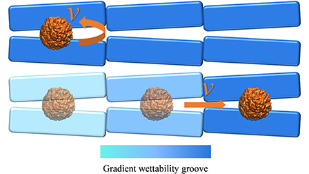 Continuous and spontaneous directional droplet transport on bioinspired ...
