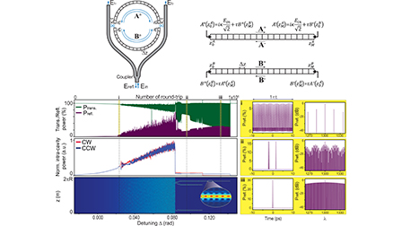 Time-domain modeling of nonlinear counter-propagating wave dynamics in reflective microring ...