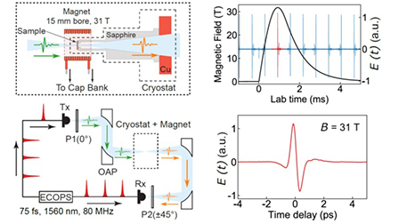 THz cyclotron resonance of a 2D hole gas in a GaN/AlN heterostructure ...