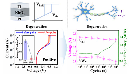 The chronic degeneration mechanism of NbOx-based artificial neurons in ...