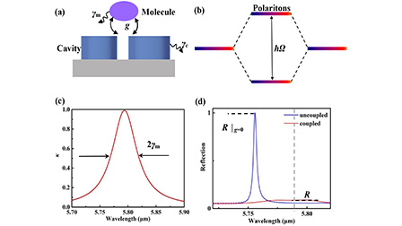 All-dielectric quasi-BIC metasurface with strong coupling control by ...