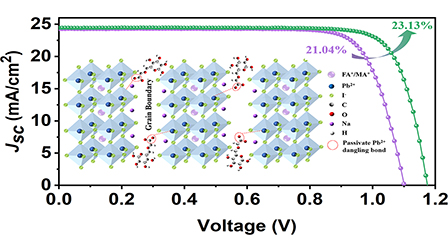 Synergistic crystallization and defect passivation via eco-friendly anti-solvent additives for ...