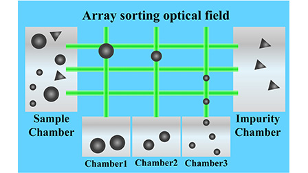 Phase-gradient force-based optical array sorter | Applied Physics ...