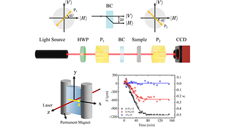 Ultrasensitive probing of nematic order parameter via weak measurement ...