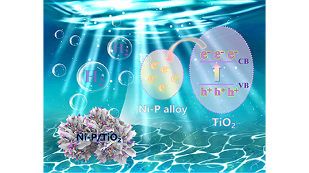 Construction of Ni–P/TiO2 Schottky heterojunction via photo-deposition ...