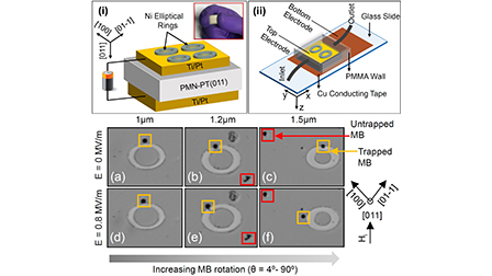 Voltage-controlled strain-mediated elliptical micro-magnetic motors for ...