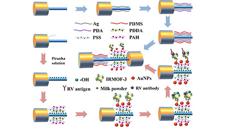 Dual-channel fiber-optic biosensors based on LSPR and SPR for the trace ...