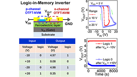Complementary logic-in-memory inverters integrating n-channel and p-channel ferroelectric ...