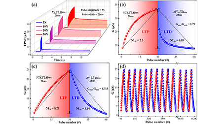 Enhancement of long-term memory of IGZO synaptic transistors by the ...