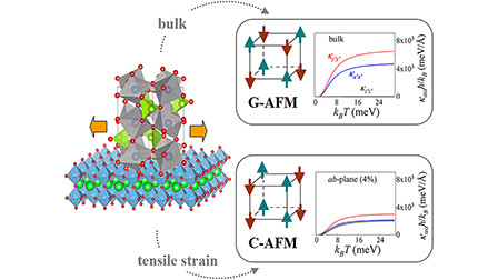 Strain control of magnetism and magnon thermal conductivity in SeCoO3 ...