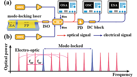 Tunable and broadband hybrid comb based on electro-optic modulated mode ...