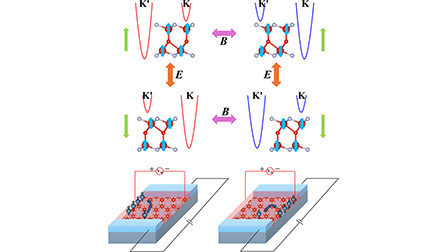 Anomalous valley Hall effect in two-dimensional multiferroic V2N2O ...