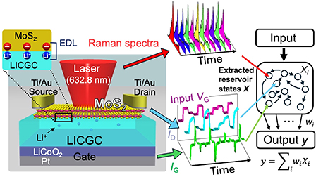 Enhanced computing performance of MoS2-based Raman-ion-gating reservoir ...