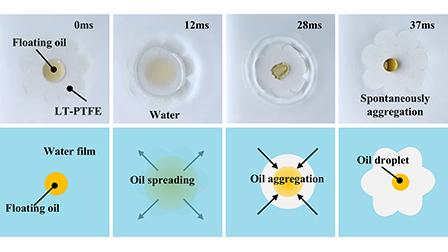 Anomalous spontaneous entropy reduction phenomenon in oil droplet ...
