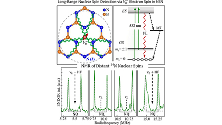 Probing remote nuclear magnetic moments in hBN with VB− electron spin ...