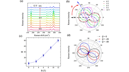 Chiral phonons and giant magneto-optical Raman effect in chiral ...