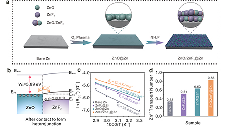 Oxygen plasma-engineered ZnF2 with built-in electric field enables ...