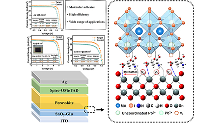 Healing the buried interface with versatile glutamic acid for efficient ...