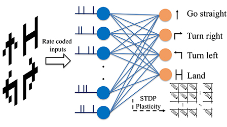 Self-rectifying memristors based on epitaxial AlScN for neuromorphic computing | Applied Physics ...